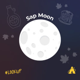 Adler Skywatch: March 2021 - Adler Planetarium