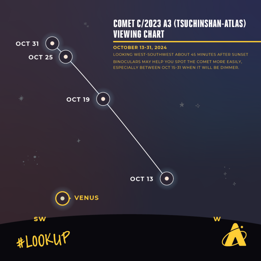 Everything You Need To Know About Comet Tsuchinshan-ATLAS AKA Comet C/2023 A3 - Adler Planetarium