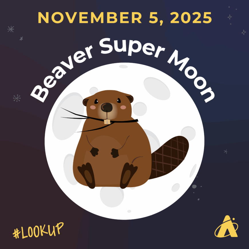 Adler Skywatch: November 2025 - Adler Planetarium