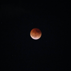 Everything You Need To Know To See The Next Lunar Eclipse On March 13 ...